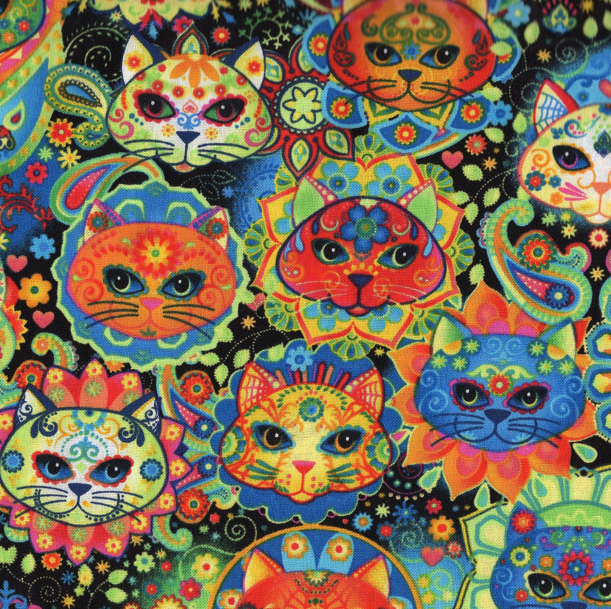 Bright Cat Faces / Multi cr1022 – Quilt-a-way Fabrics